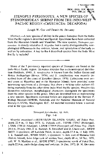 (PDF) Stenopus pyrsonotus New species Of Stenopodidean Shrimp From The ...