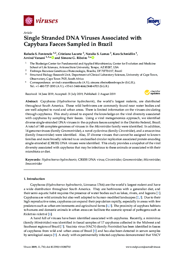 (PDF) Single Stranded DNA Viruses Associated with Capybara Faeces ...