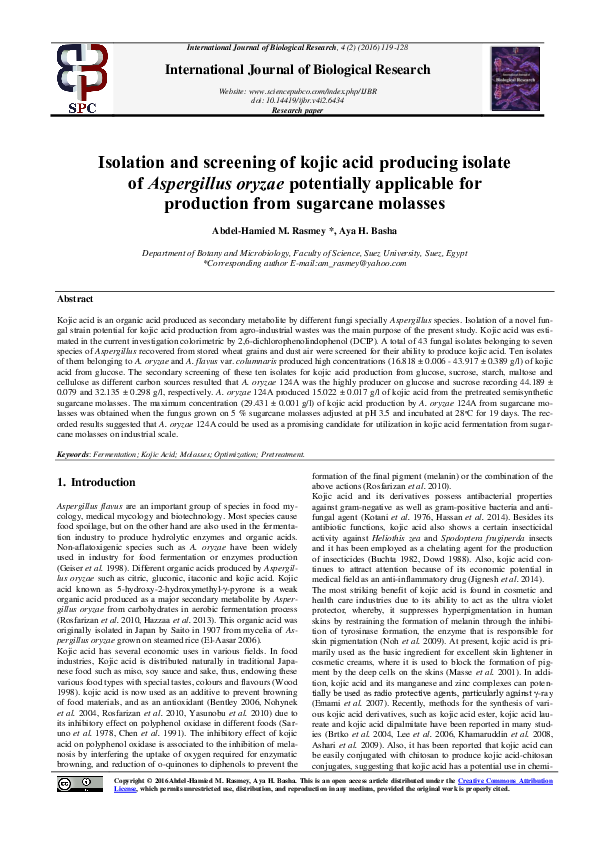 (PDF) Isolation and screening of kojic acid producing isolate of Aspergillus oryzae potentially ...