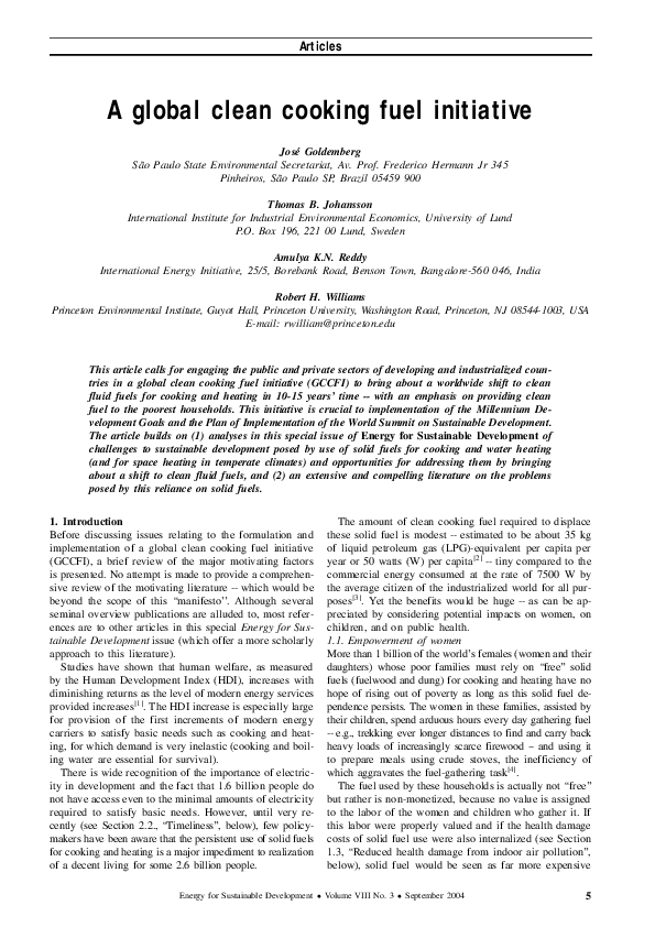 (PDF) A global clean cooking fuel initiative