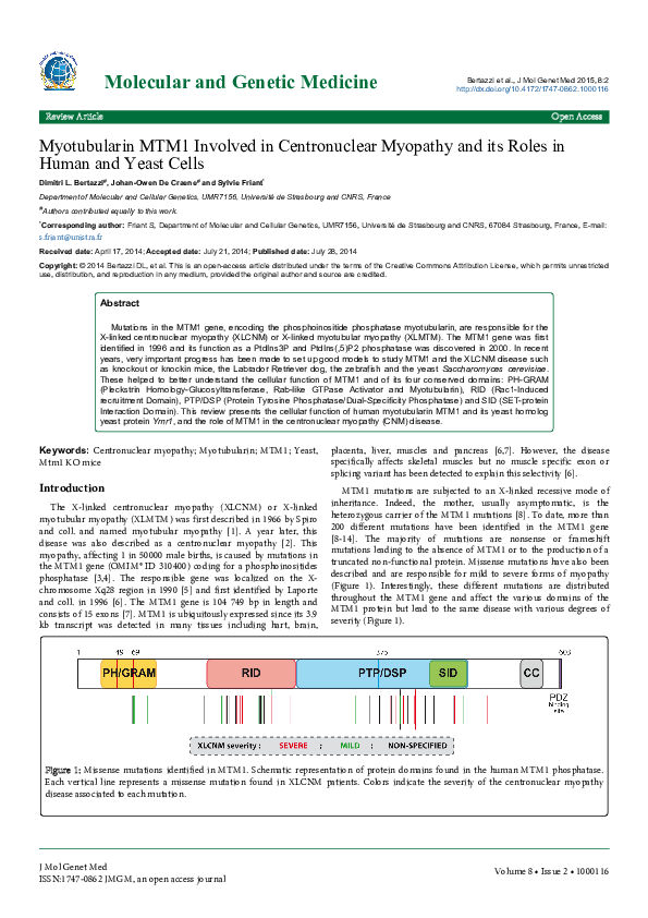 (PDF) Myotubularin MTM1 Involved in Centronuclear Myopathy and its ...