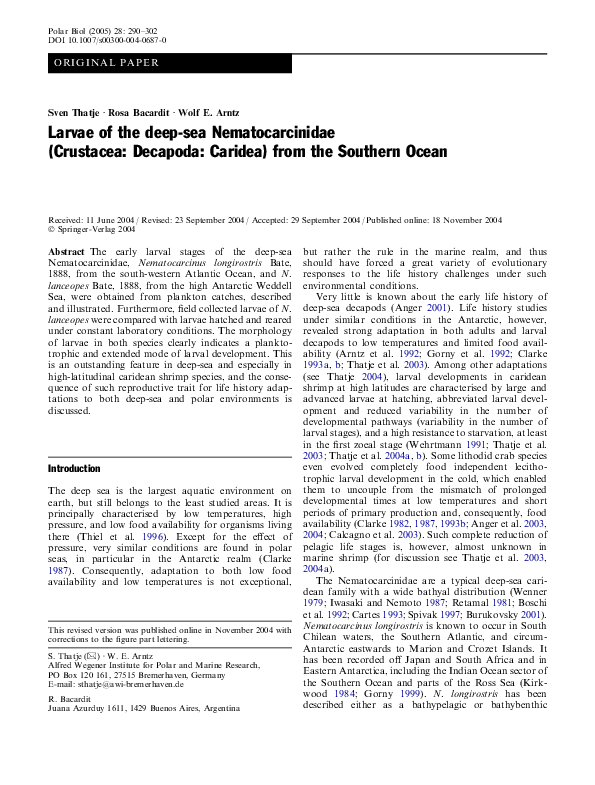 (PDF) Larvae of the deep-sea Nematocarcinidae (Crustacea: Decapoda ...