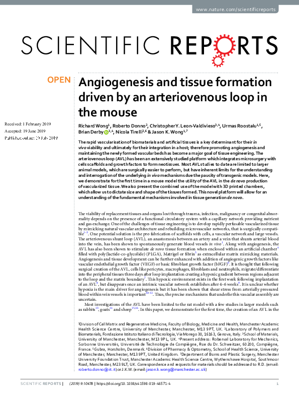 (PDF) Angiogenesis and tissue formation driven by an arteriovenous loop ...