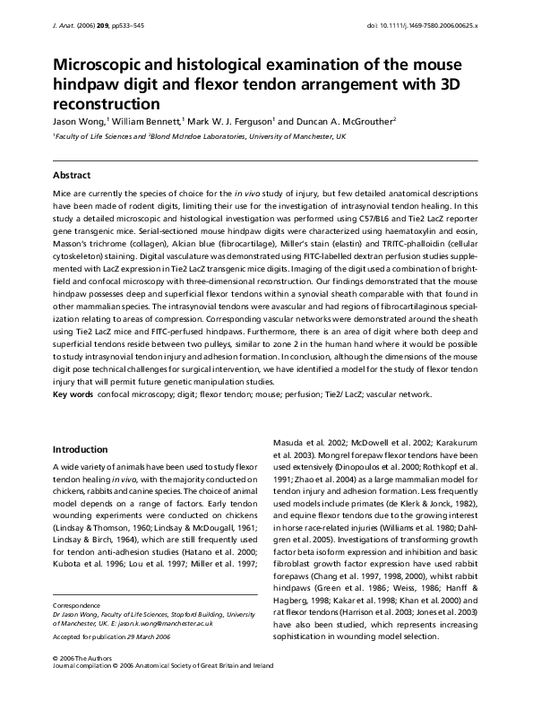 (PDF) Microscopic and histological examination of the mouse hindpaw ...