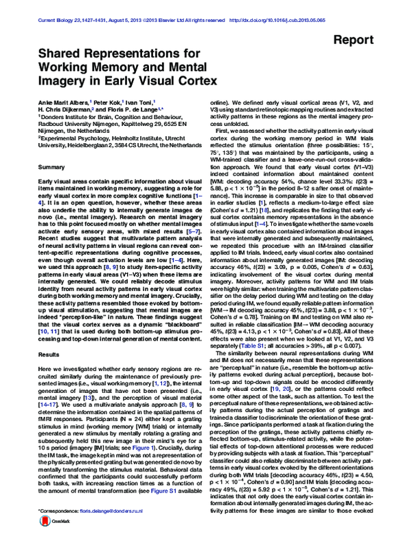 (PDF) Shared Representations for Working Memory and Mental Imagery in Early Visual Cortex