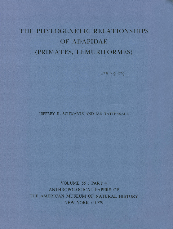 (PDF) The phylogenetic relationships of Adapidae (Primates ...
