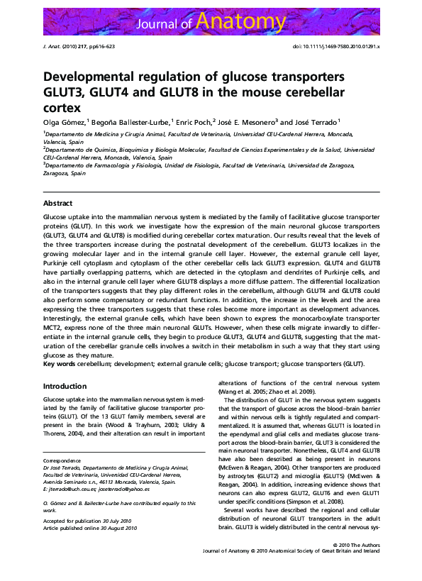 (PDF) Developmental regulation of glucose transporters GLUT3, GLUT4 and ...