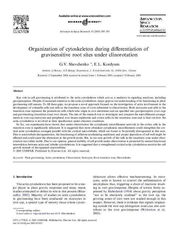 (PDF) Organization of cytoskeleton during differentiation of ...