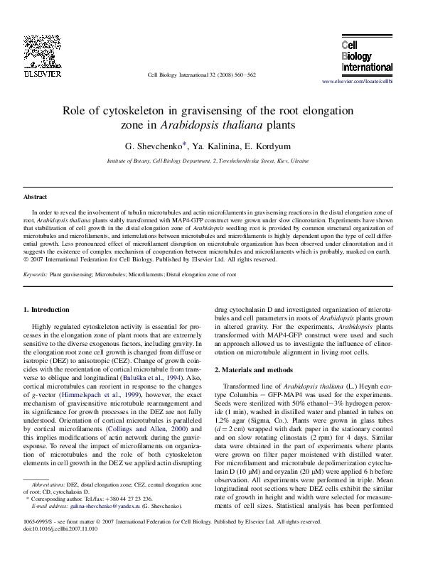 (PDF) Role of cytoskeleton in gravisensing of the root elongation zone ...