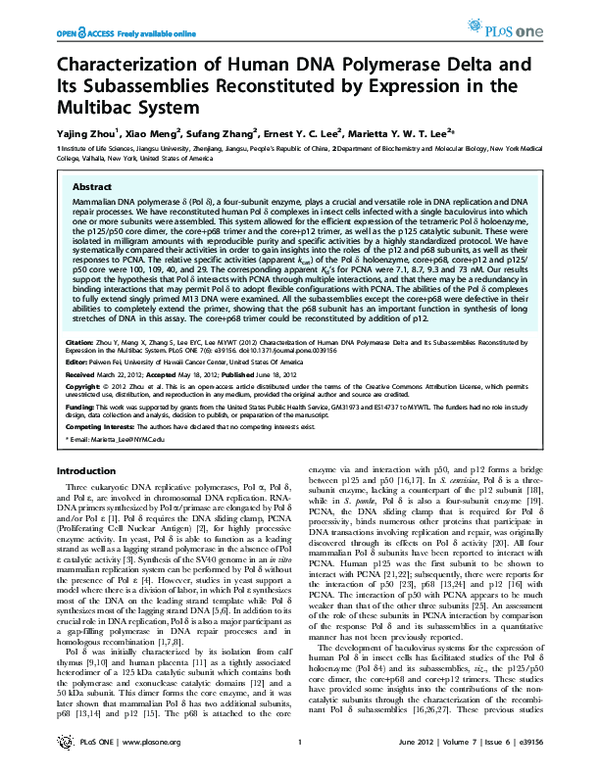 (PDF) Characterization of Human DNA Polymerase Delta and Its ...