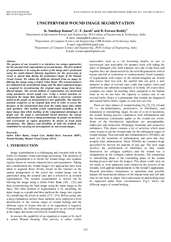 (PDF) Unsupervised Wound Image Segmentation