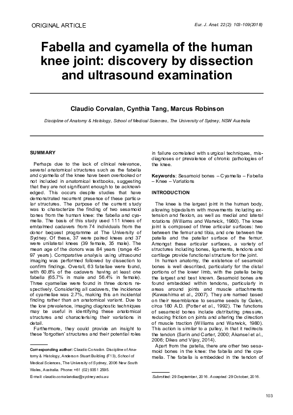 (PDF) Fabella and cyamella of the human knee joint: discovery by ...