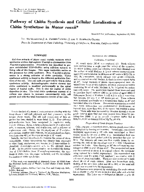 (PDF) Pathway of Chitin Synthesis and Cellular Localization of Chitin Synthetase in Mucor rouxii