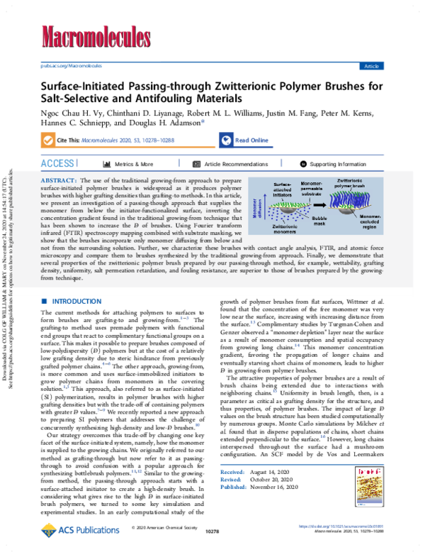 (PDF) Surface-Initiated Passing-through Zwitterionic Polymer Brushes ...