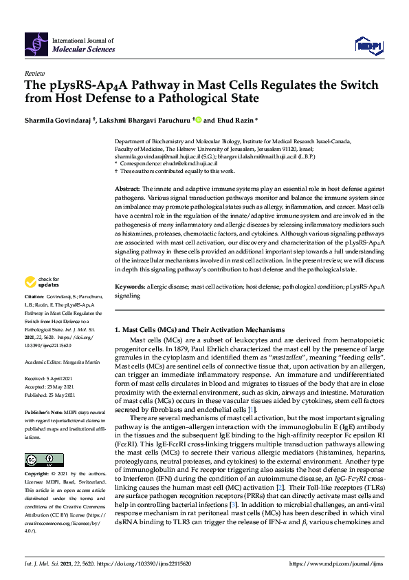 (PDF) The pLysRS-Ap4A Pathway in Mast Cells Regulates the Switch from ...