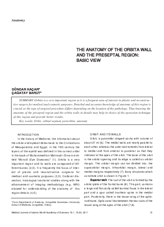 (PDF) The Anatomy of the Orbita Wall and the Preseptal Region: Basic View
