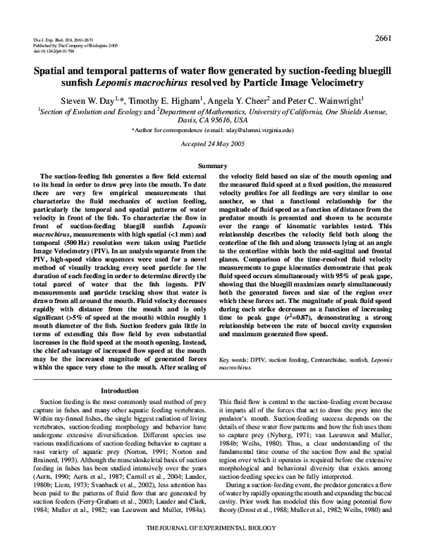 (PDF) Spatial and temporal patterns of water flow generated by suction ...