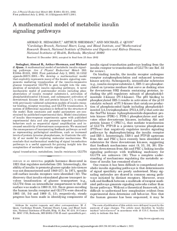 (PDF) A mathematical model of metabolic insulin signaling pathways