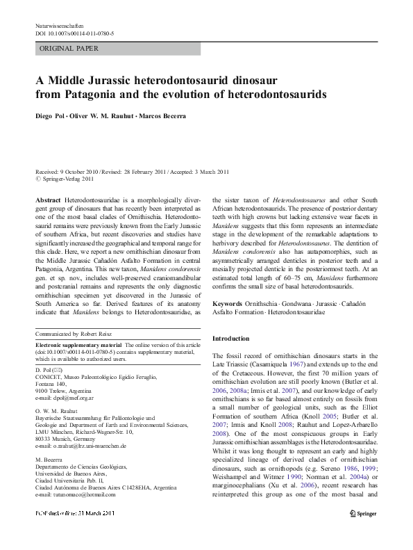 (PDF) A Middle Jurassic heterodontosaurid dinosaur from Patagonia and ...