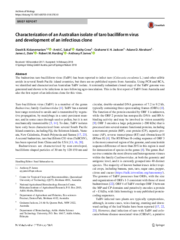 (PDF) Characterization of an Australian isolate of taro bacilliform ...