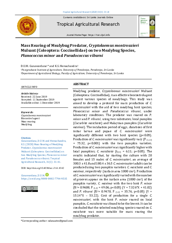 (PDF) Mass Rearing of Mealybug Predator, Cryptolaemus montrouzieri ...