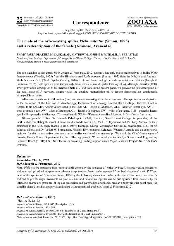 (PDF) The male of the orb-weaving spider Plebs mitratus (Simon, 1895 ...
