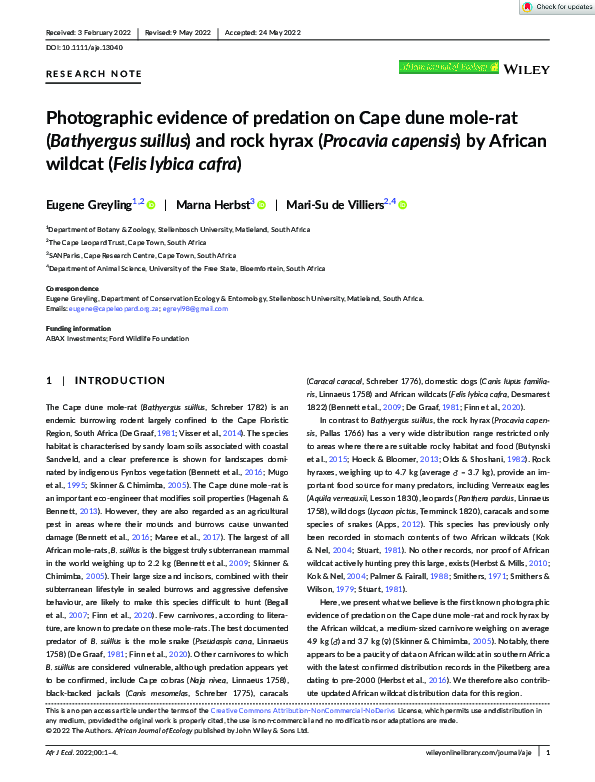 (PDF) Photographic evidence of predation on Cape dune mole‐rat ...