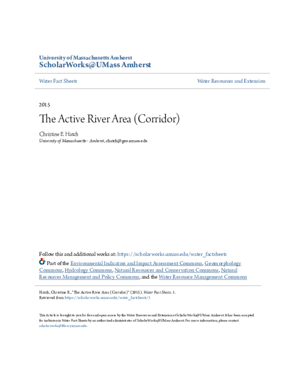 (PDF) The Active River Area (Corridor)