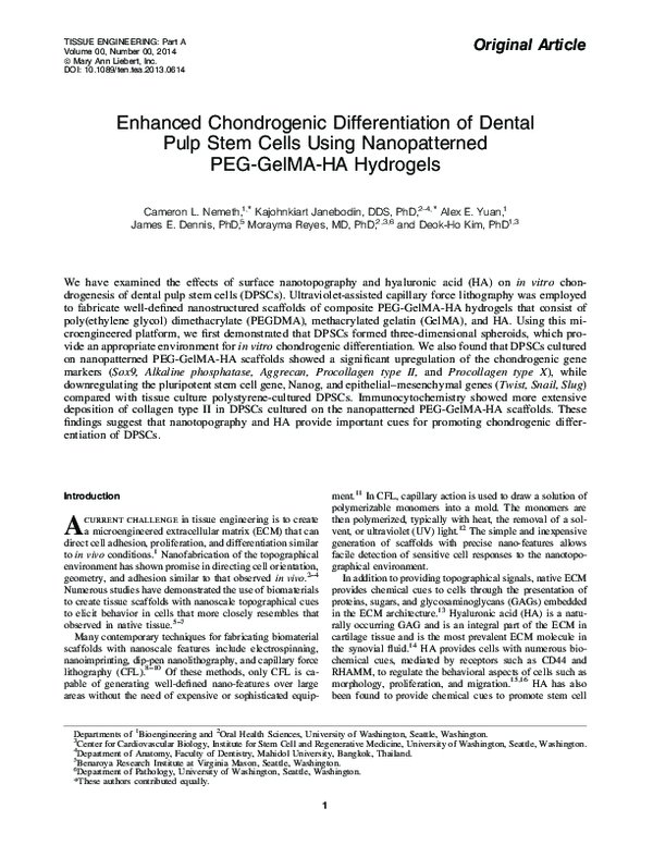 (PDF) Enhanced Chondrogenic Differentiation of Dental Pulp Stem Cells ...