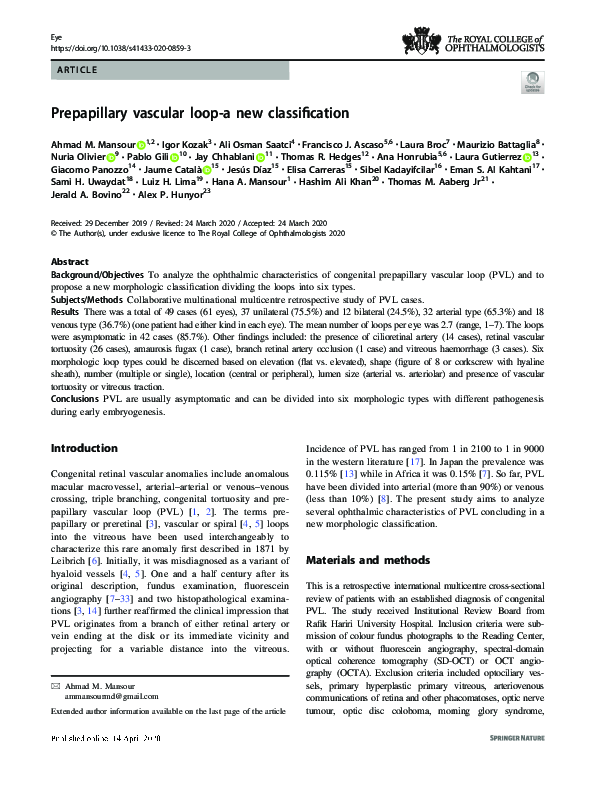 (PDF) Prepapillary vascular loop-a new classification