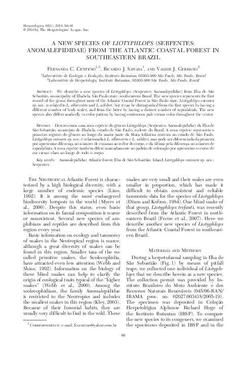 (PDF) A New Species of Liotyphlops (Serpentes: Anomalepididae) from the ...