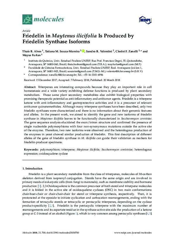(PDF) Friedelin in Maytenus ilicifolia Is Produced by Friedelin ...