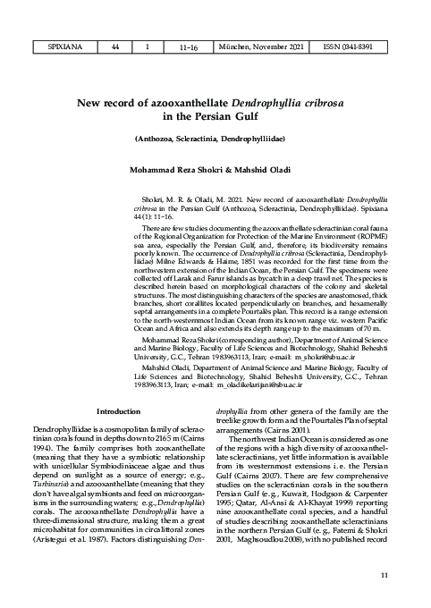(PDF) New record of azooxanthellate Dendrophyllia cribrosa in the ... (PDF) New record of azooxanthellate Dendrophyllia cribrosa in the ...