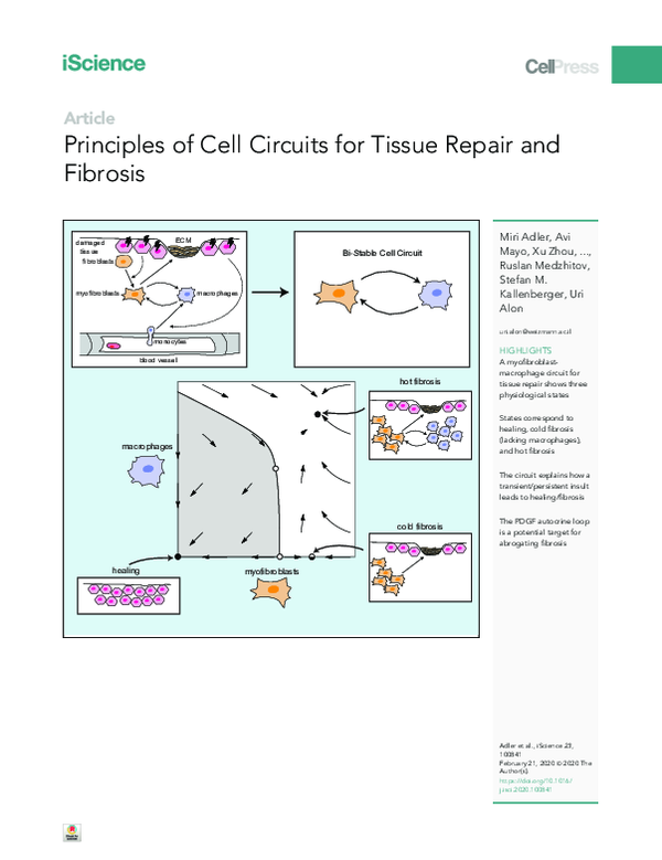 (PDF) Etnomotani Obat Tradisional Oleh Masyarakat Kutai DI Kec. Muara ...