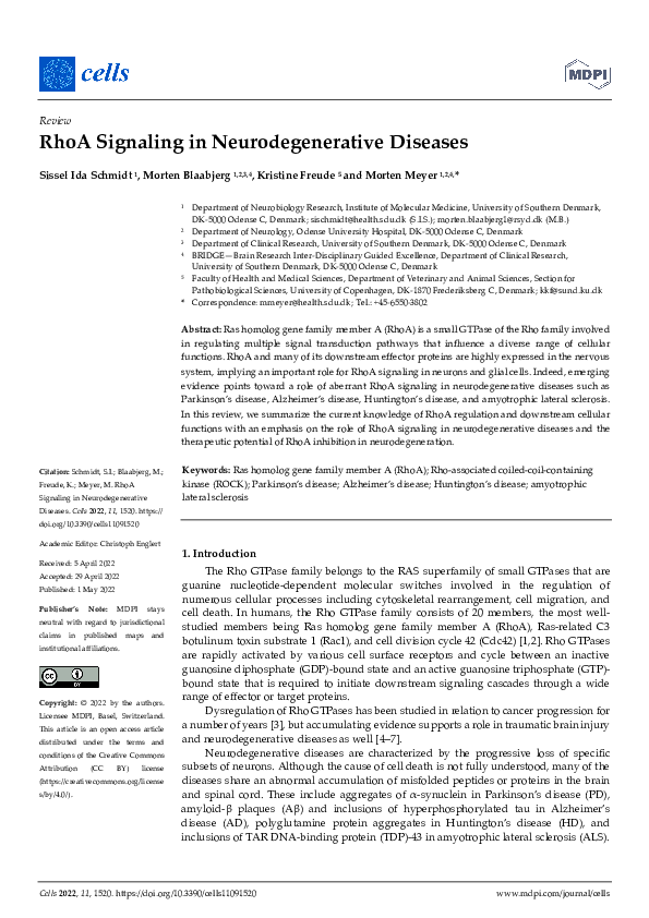 (PDF) RhoA Signaling in Neurodegenerative Diseases