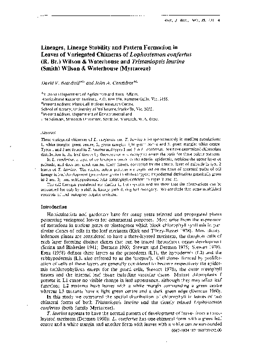 (PDF) Lineages, Lineage Stability and Pattern Formation in Leaves of ...