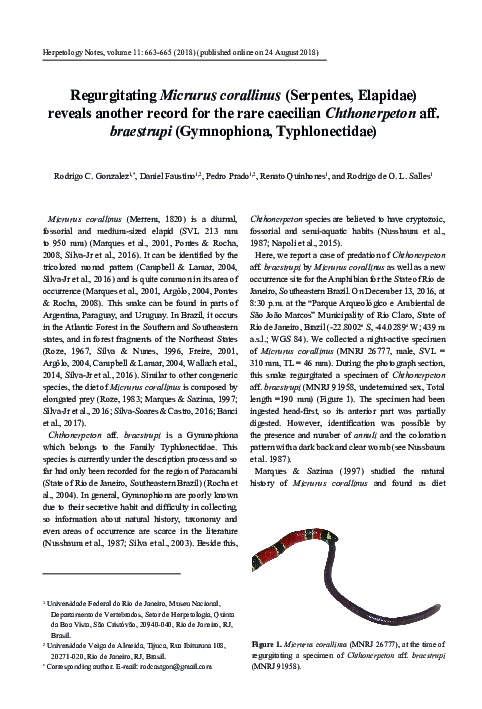 (PDF) Regurgitating Micrurus corallinus (Serpentes, Elapidae) reveals ...