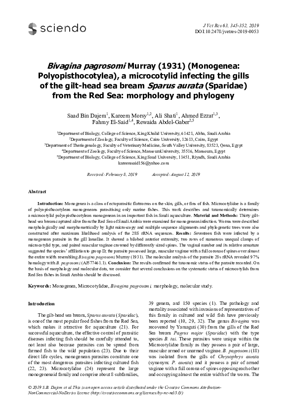 (PDF) Bivagina pagrosomi Murray (1931) (Monogenea: Polyopisthocotylea ...