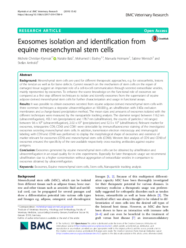 (PDF) Exosomes isolation and identification from equine mesenchymal ...