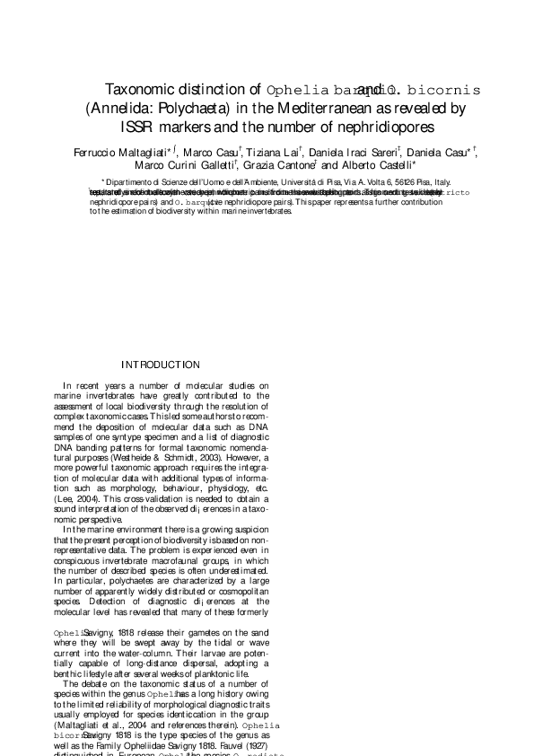 (PDF) Distinguishing Ophelia barquii and O. bicornis