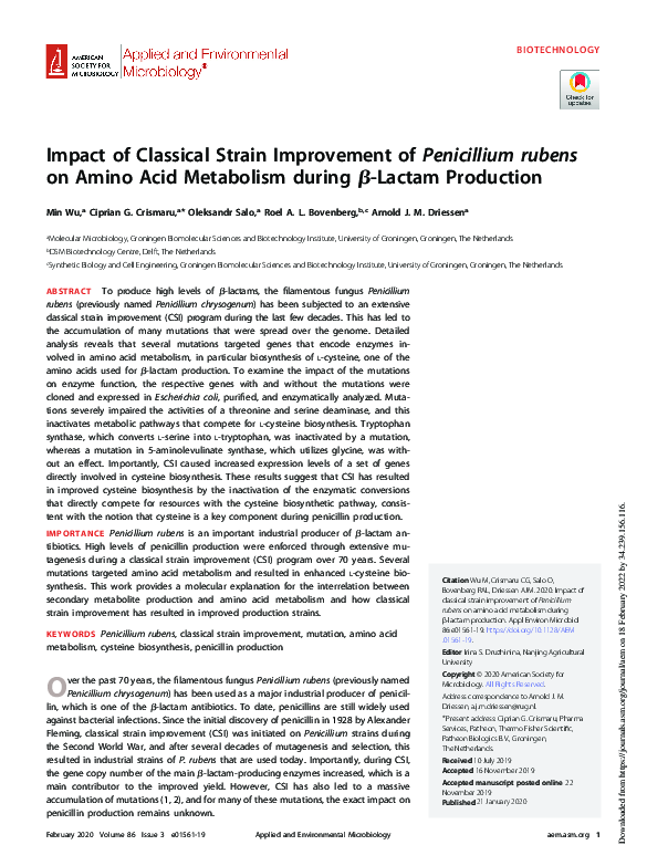 (PDF) Impact of Classical Strain Improvement of Penicillium rubens on Amino Acid Metabolism ...