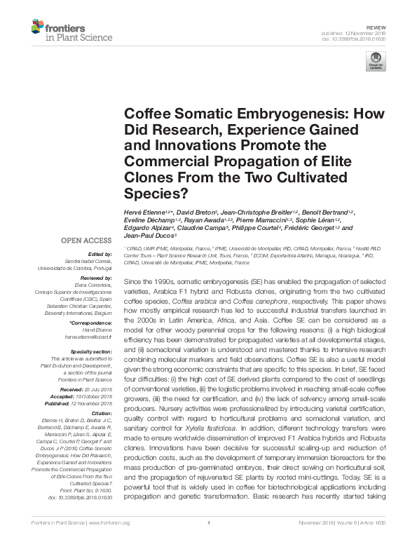(PDF) Somatic Embryogenesis in Floricultural Crops: Experiences of ...