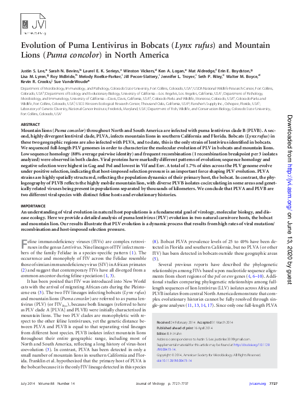 (PDF) Evolution of puma lentivirus in bobcats (Lynx rufus) and mountain ...