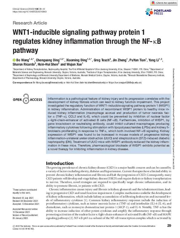 (PDF) WNT1-inducible signaling pathway protein 1 regulates kidney ...