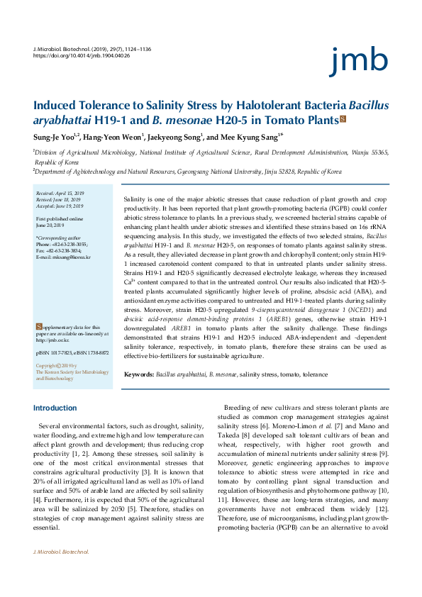 (PDF) Induced Tolerance to Salinity Stress by Halotolerant Bacteria ...
