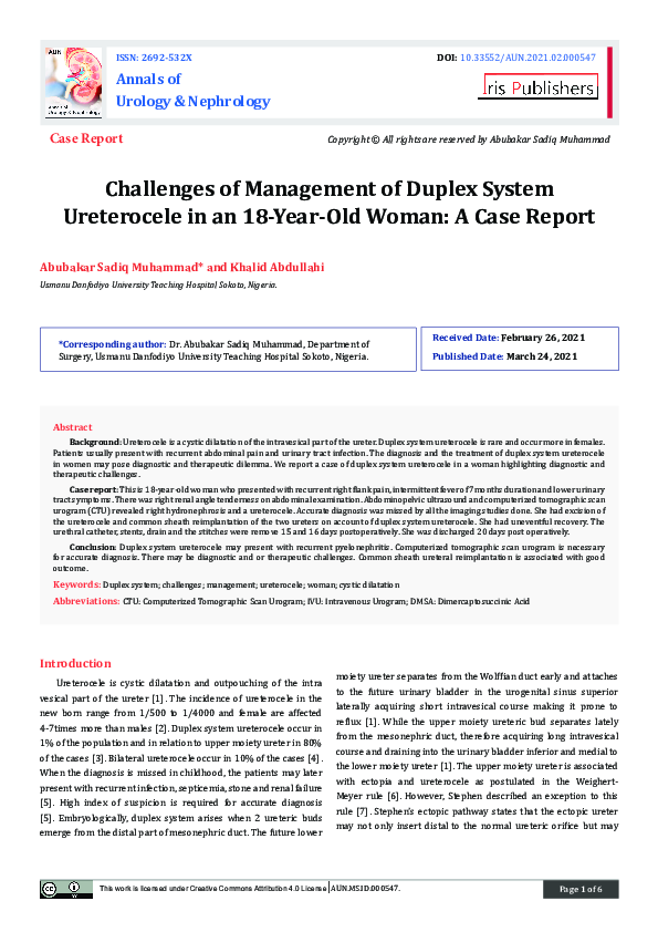 (PDF) Challenges of Management of Duplex System Ureterocele in an 18 ...