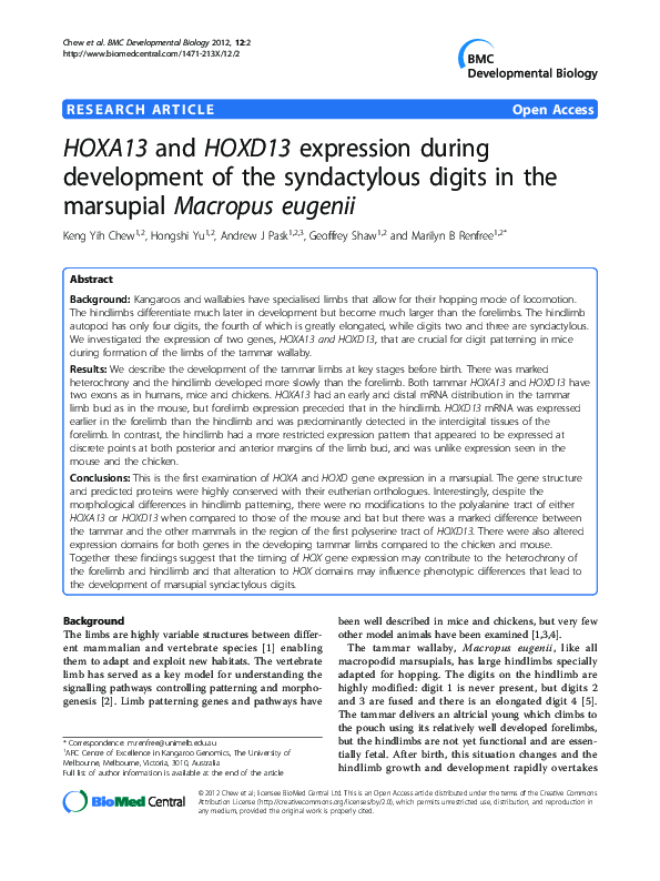 (PDF) HOXA13 and HOXD13 expression during development of the ...