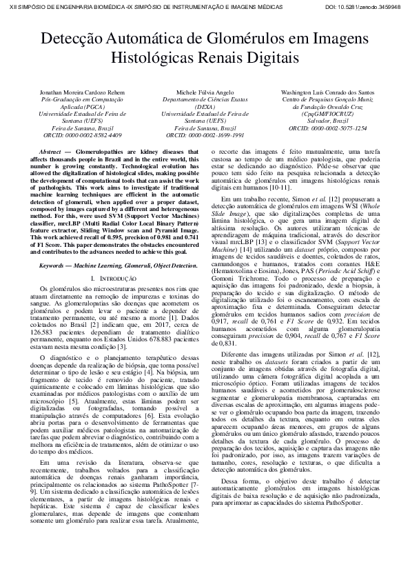 (PDF) Detecção Automática de Glomérulos em Imagens Histológicas Renais ...
