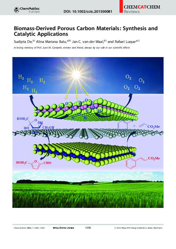 (PDF) Biomass-Derived Porous Carbon Materials: Synthesis and Catalytic Applications