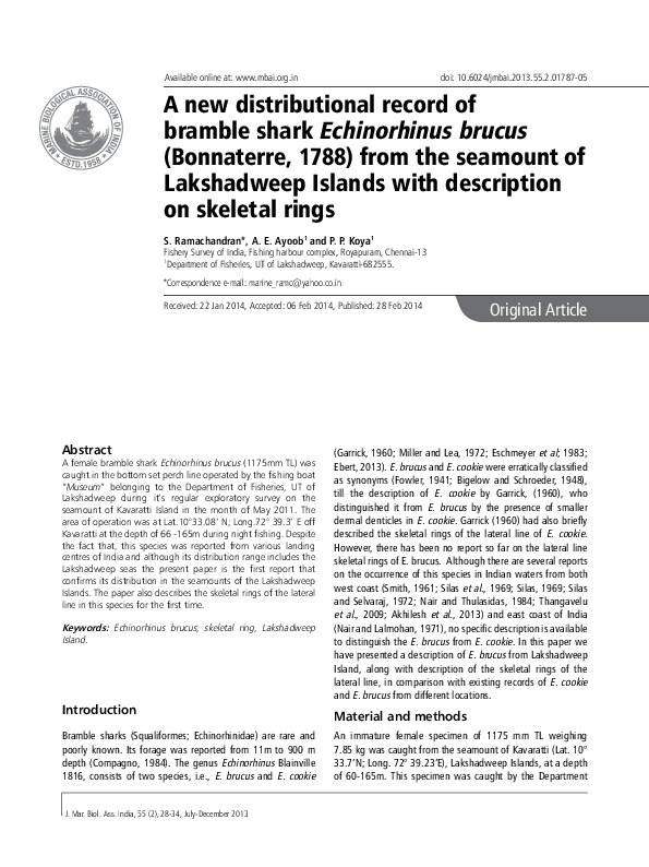(PDF) A new distributional record of bramble shark Echinorhinus brucus ...